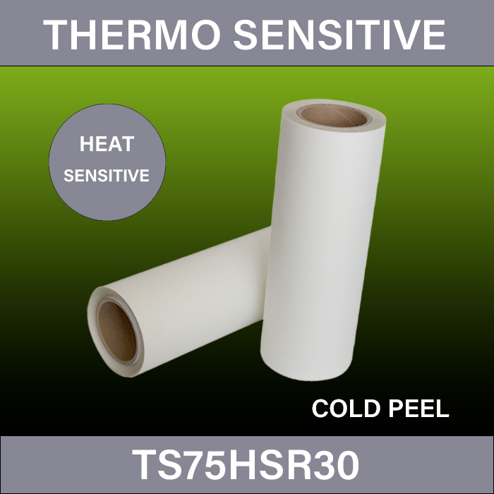 Thermo Sensitive DTF Film Roll – 75μm Thermo Sensitive Single Side ...